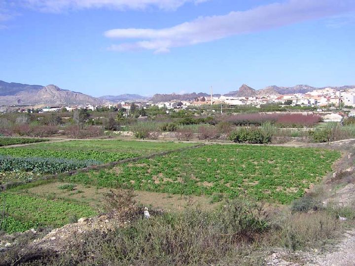 Historia de Algaida - Región de Murcia Digital