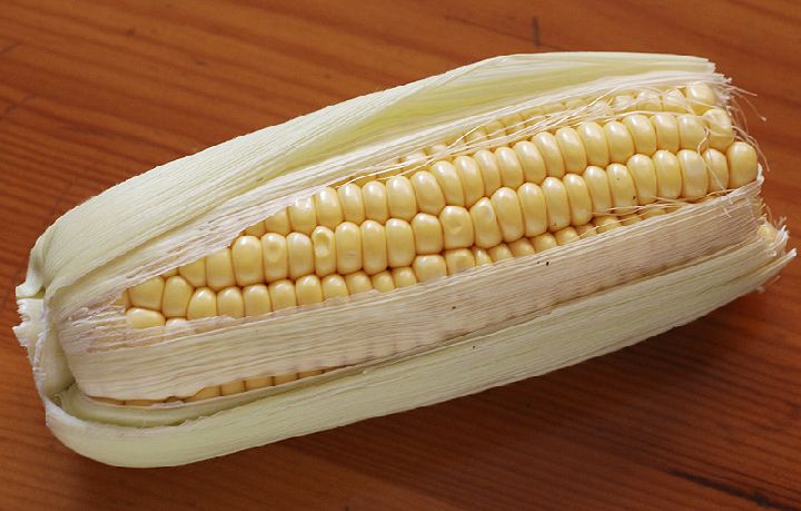 El Maíz - Región de Murcia Digital