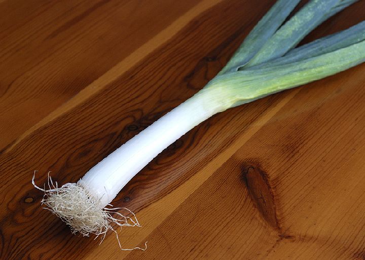 Puerro - Región de Murcia Digital