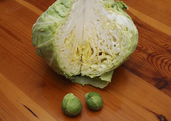 Col - Región de Murcia Digital