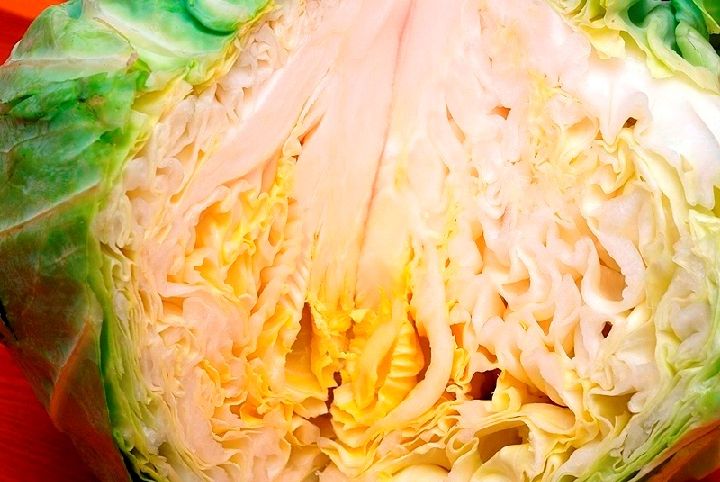 Col- Gastronomía - Región de Murcia Digital