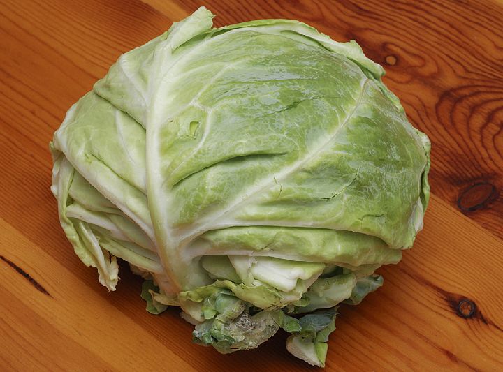 Col - Región de Murcia Digital