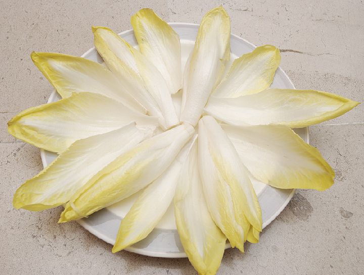 Endibia- Historia y Gastronomía - Región de Murcia Digital