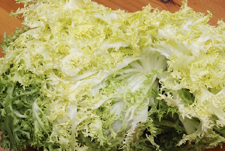 Escarola - Región de Murcia Digital