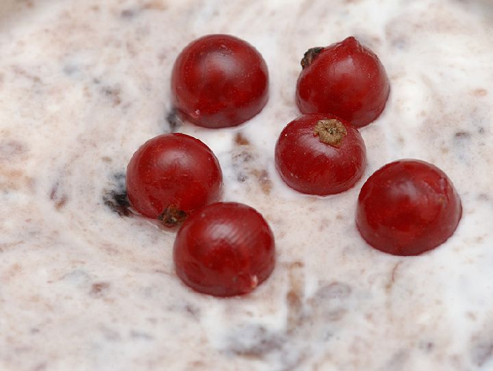 Yogur de frutos del bosque [Grosella]