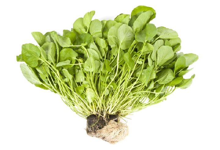 Berro - Región de Murcia Digital