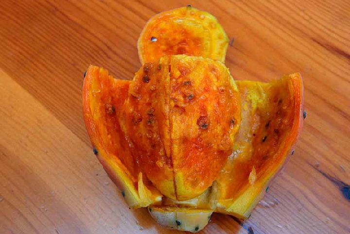 Higo Chumbo- Gastronomía - Región de Murcia Digital