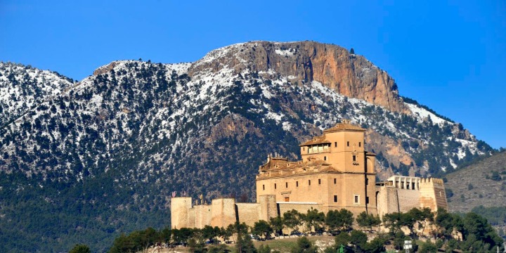 Caravaca nevada