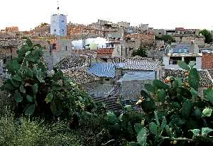 Fotos concurso Campos del Río-Fotografías - Región de Murcia Digital