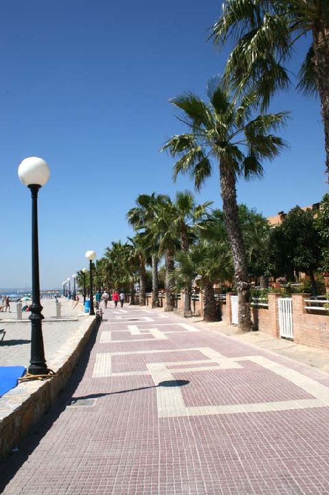 Los Narejos- Galería de fotos - Región de Murcia Digital