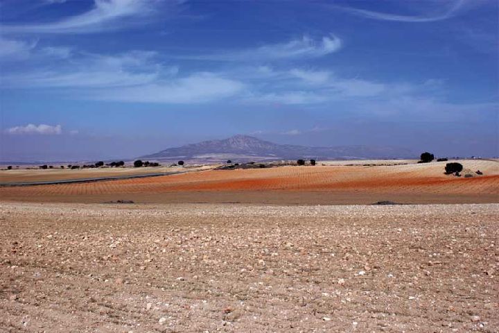 Paisajes Esteparios - Región de Murcia Digital