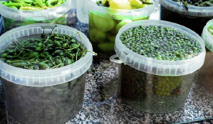 Alcaparras, tallos y alcaparrones2- Historia y características - Región ...