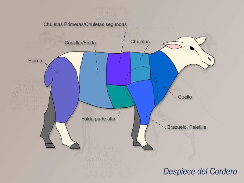 Gráfico de despiece de un cordero