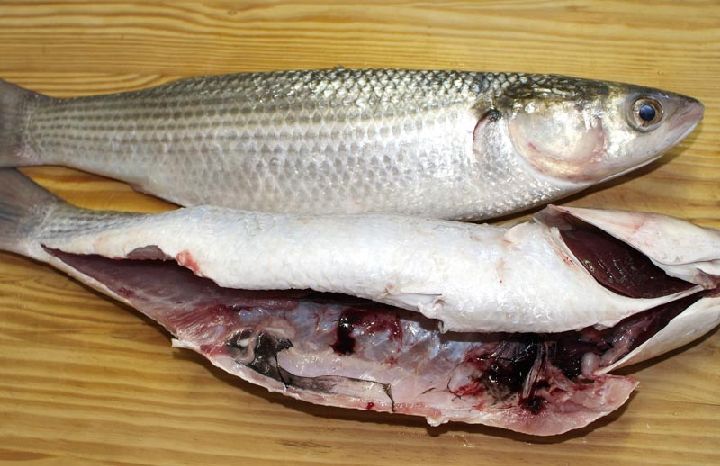 Mújol- Gastronomía - Región de Murcia Digital