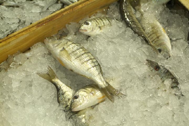 Magre- Gastronomía - Región de Murcia Digital