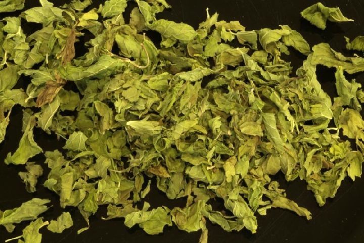 Hierbabuena- Características - Región de Murcia Digital