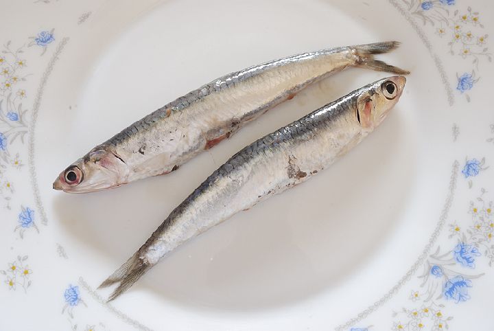 Boquerón - Región de Murcia Digital