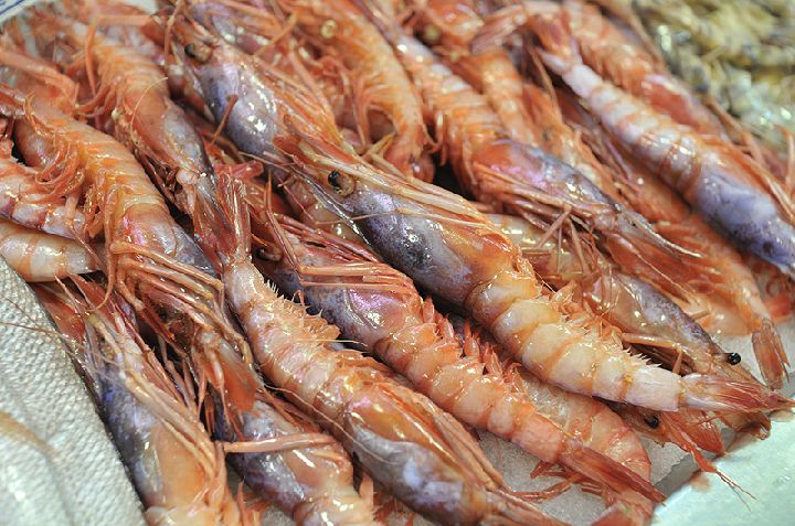 Gambas-Gastronomía - Región de Murcia Digital