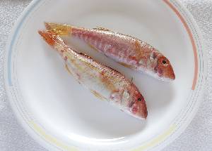 Salmonete- Gastronomía - Región de Murcia Digital