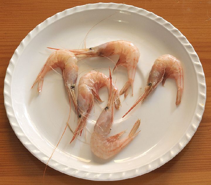 Quisquilla - Región de Murcia Digital